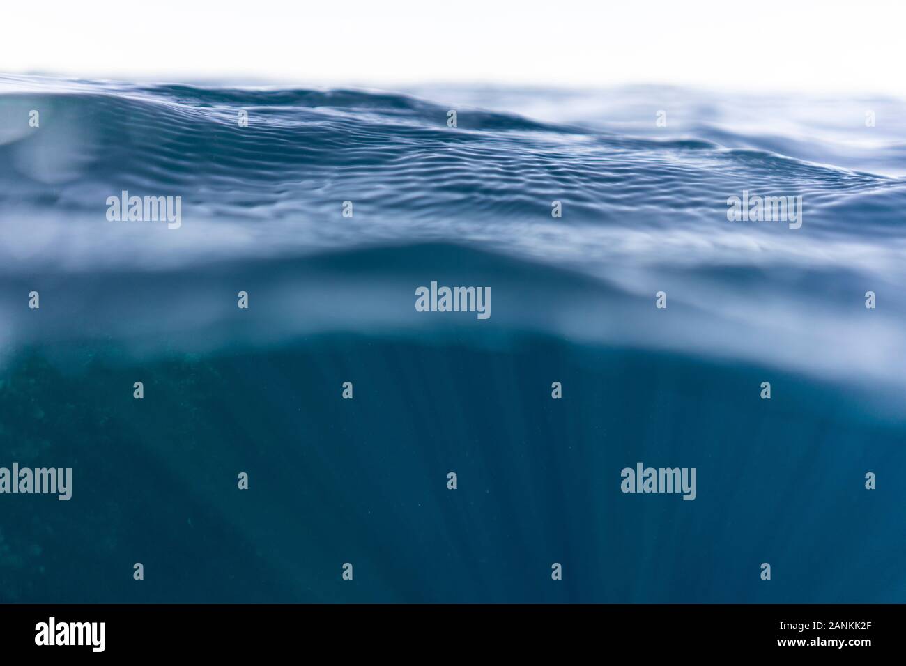 Half under half over water photography in the beautiful ocean of egypt ...