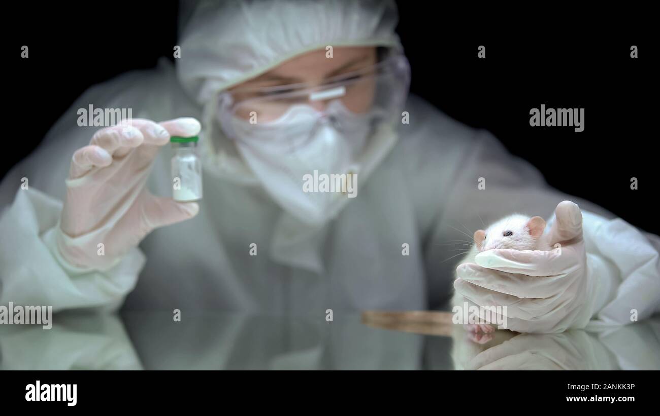 White lab lab rat testing hi-res stock photography and images - Alamy