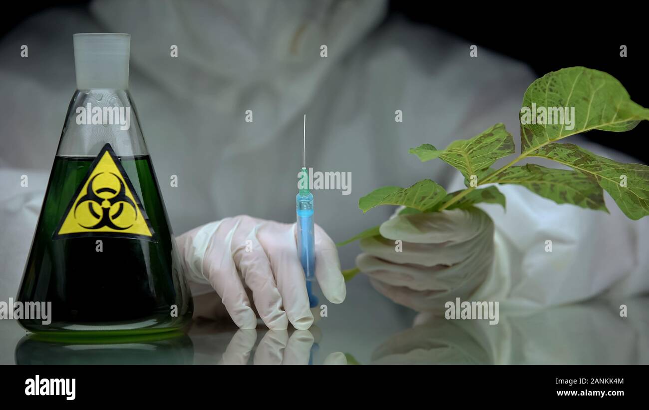 Ecologist holding syringe and plant, flask with biohazard liquid on ...