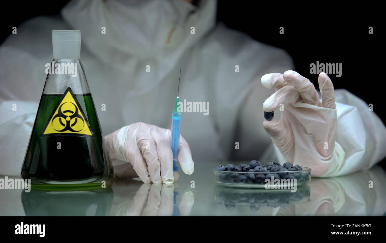 Biologist with syringe and blueberry, flask with biohazard liquid on ...