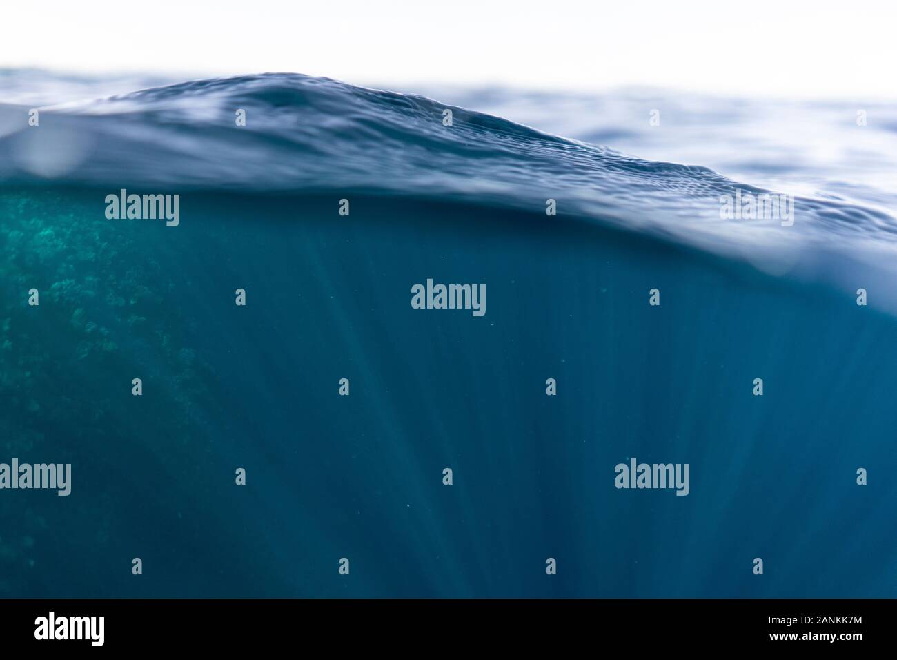 Half under half over water photography in the beautiful ocean of egypt ...