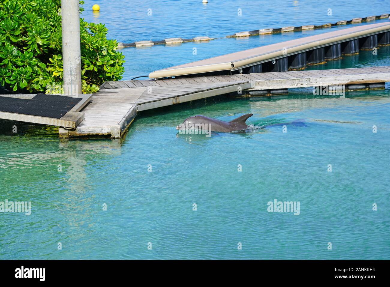 Intercontinental moorea resort and spa hi-res stock photography and ...