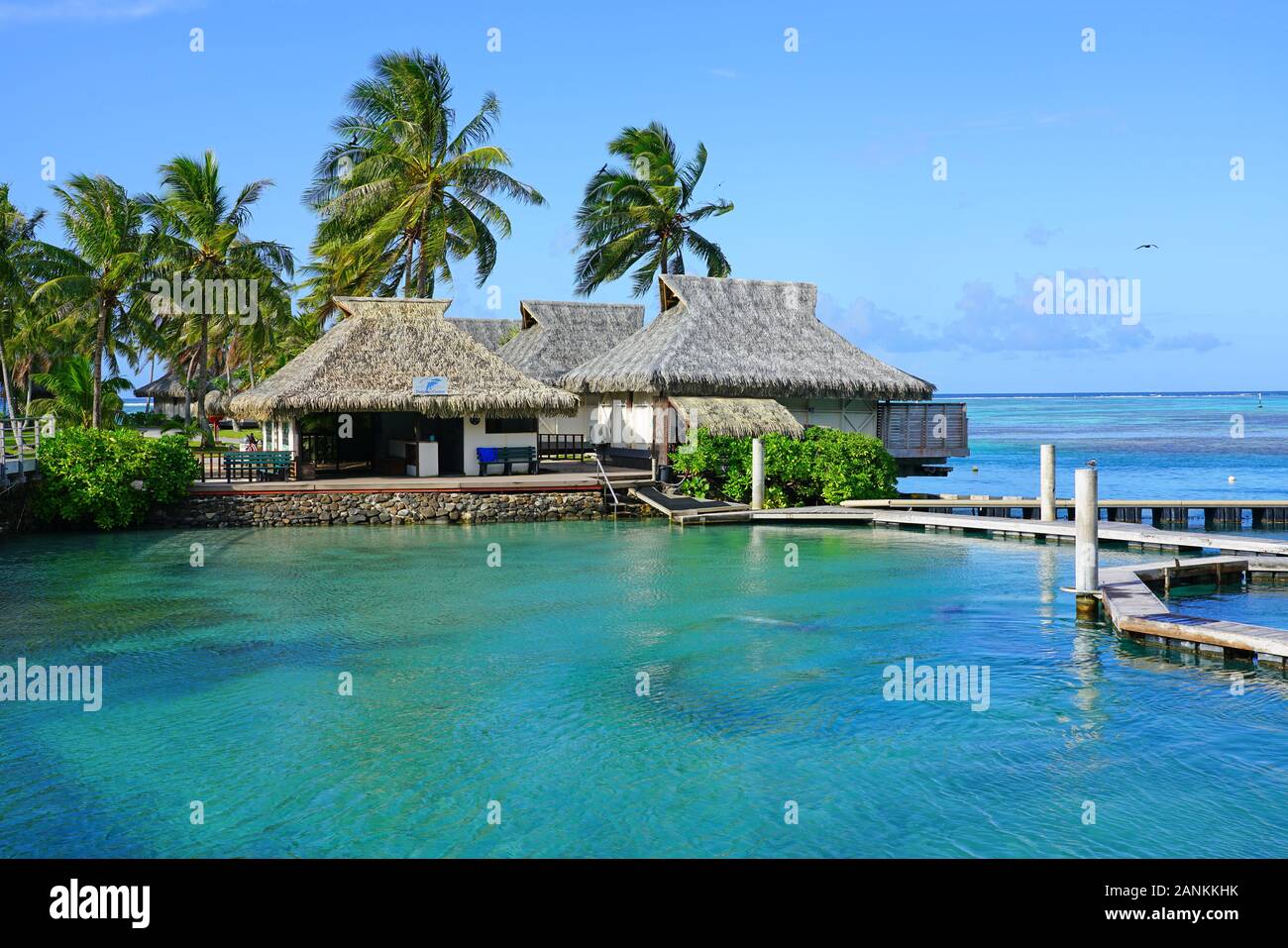 MOOREA, FRENCH POLYNESIA -30 NOV 2018- View of the Moorea Dolphin ...