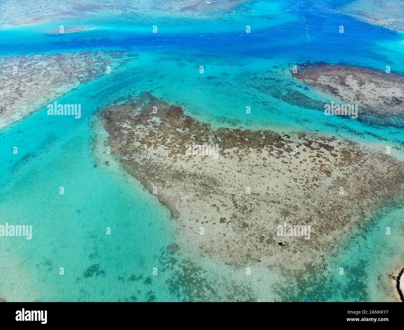 Aerial view of shades of blue and coral reefs over the Moorea lagoon in ...