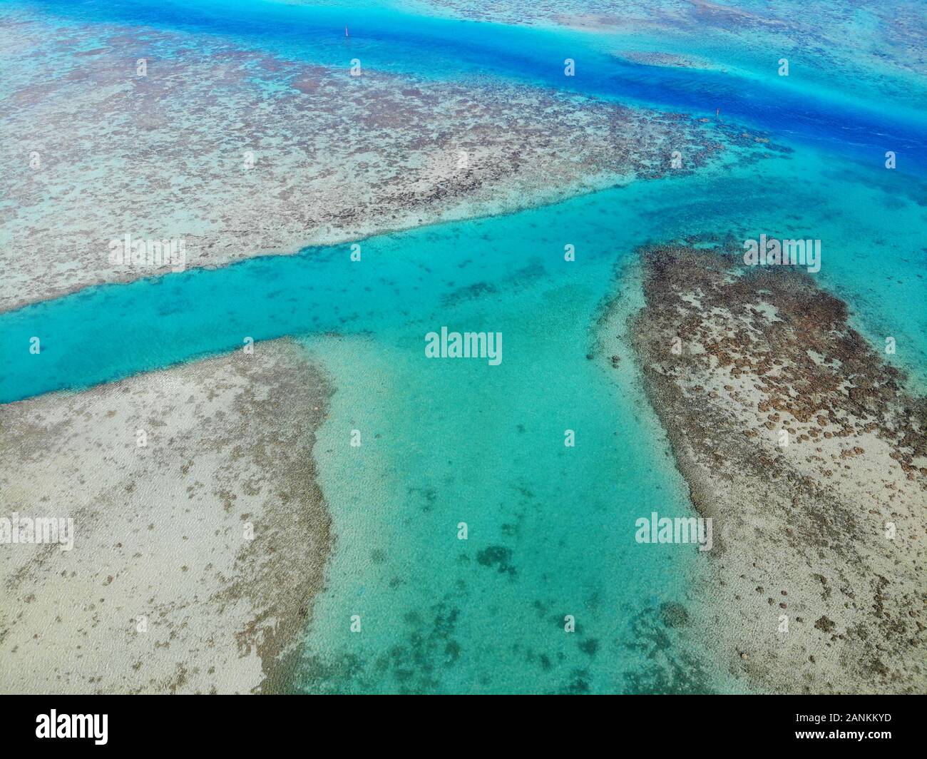 Aerial view of shades of blue and coral reefs over the Moorea lagoon in ...