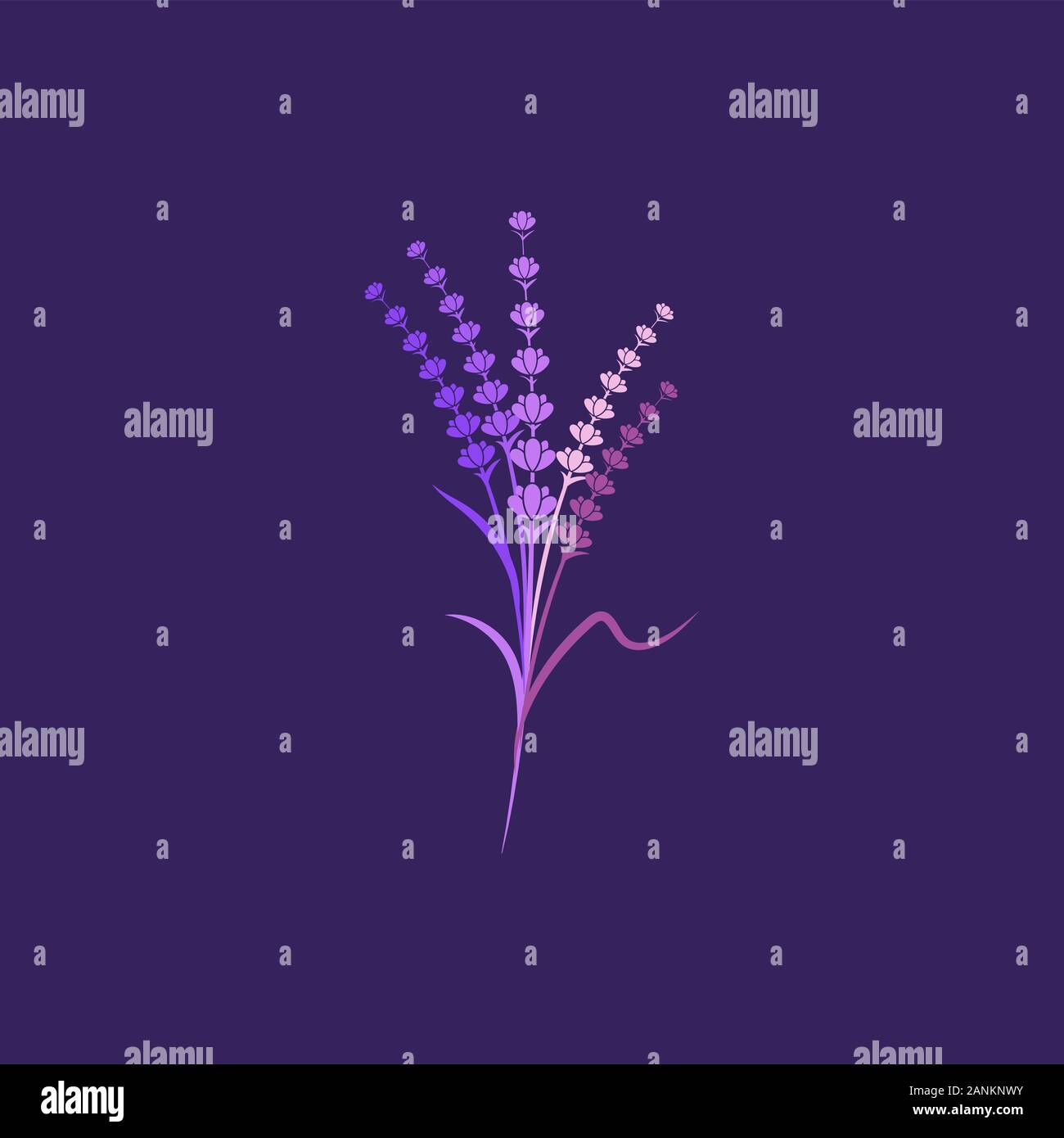 Lavender flower Vector icon illustration design Template Stock Vector ...