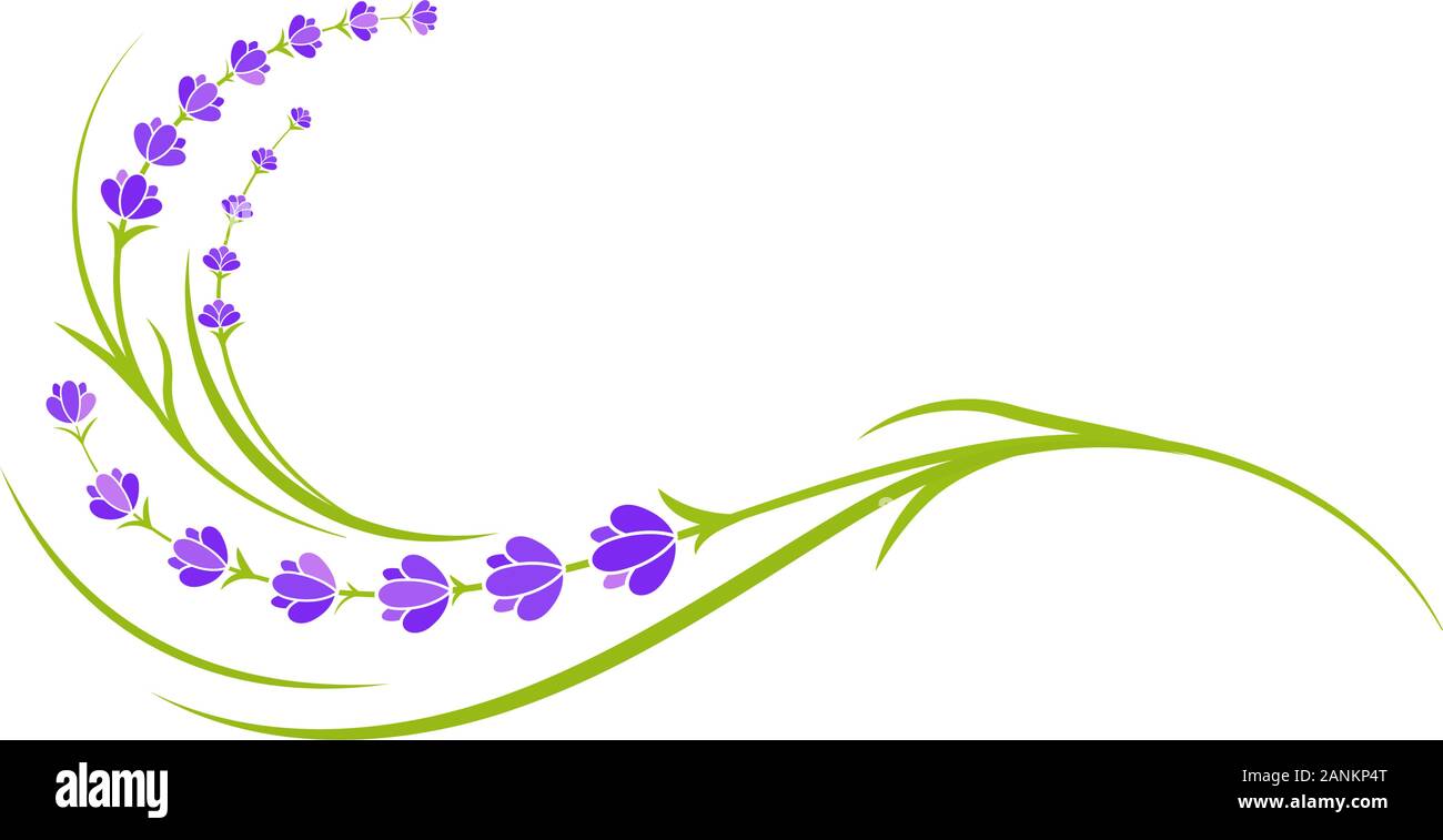 Lavender flower Vector icon illustration design Template Stock Vector ...