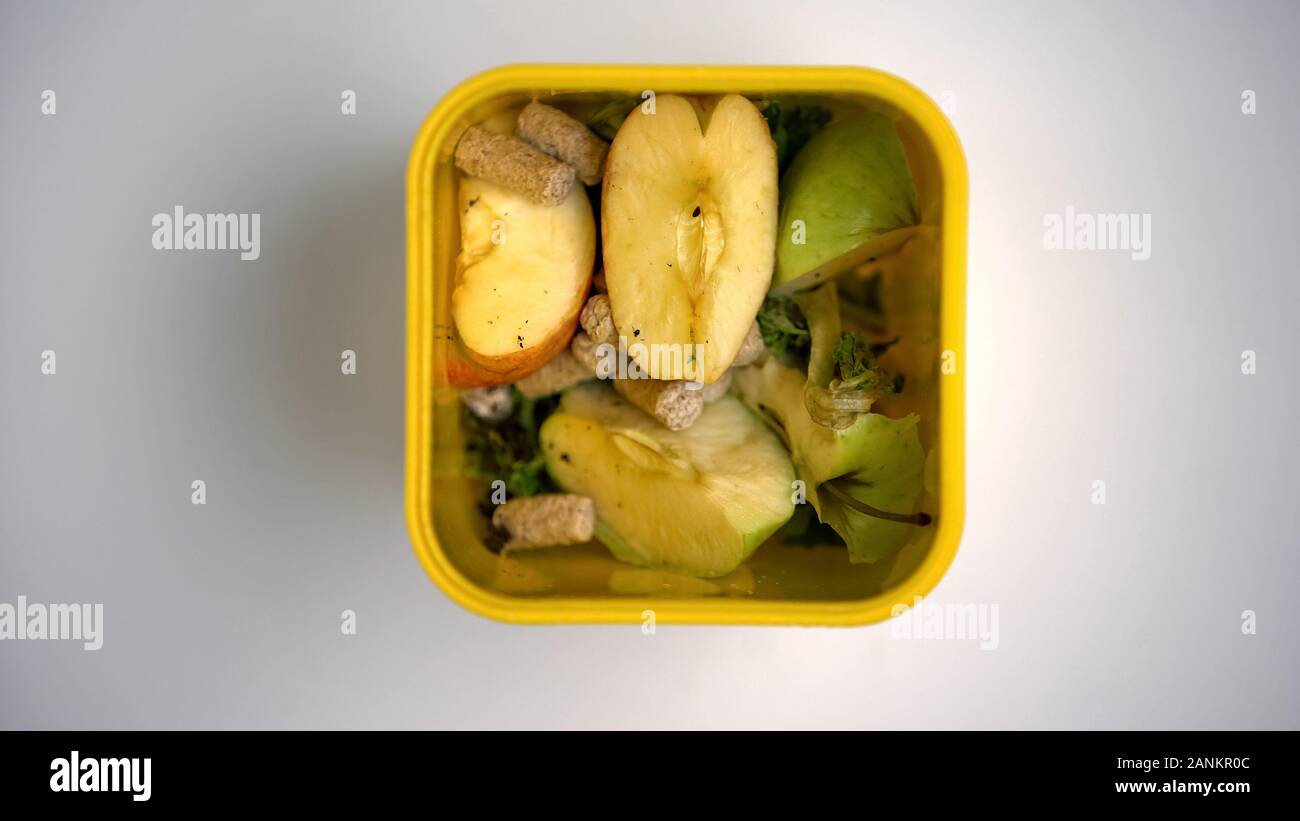 Container with food waste standing on table, economic and environmental ...