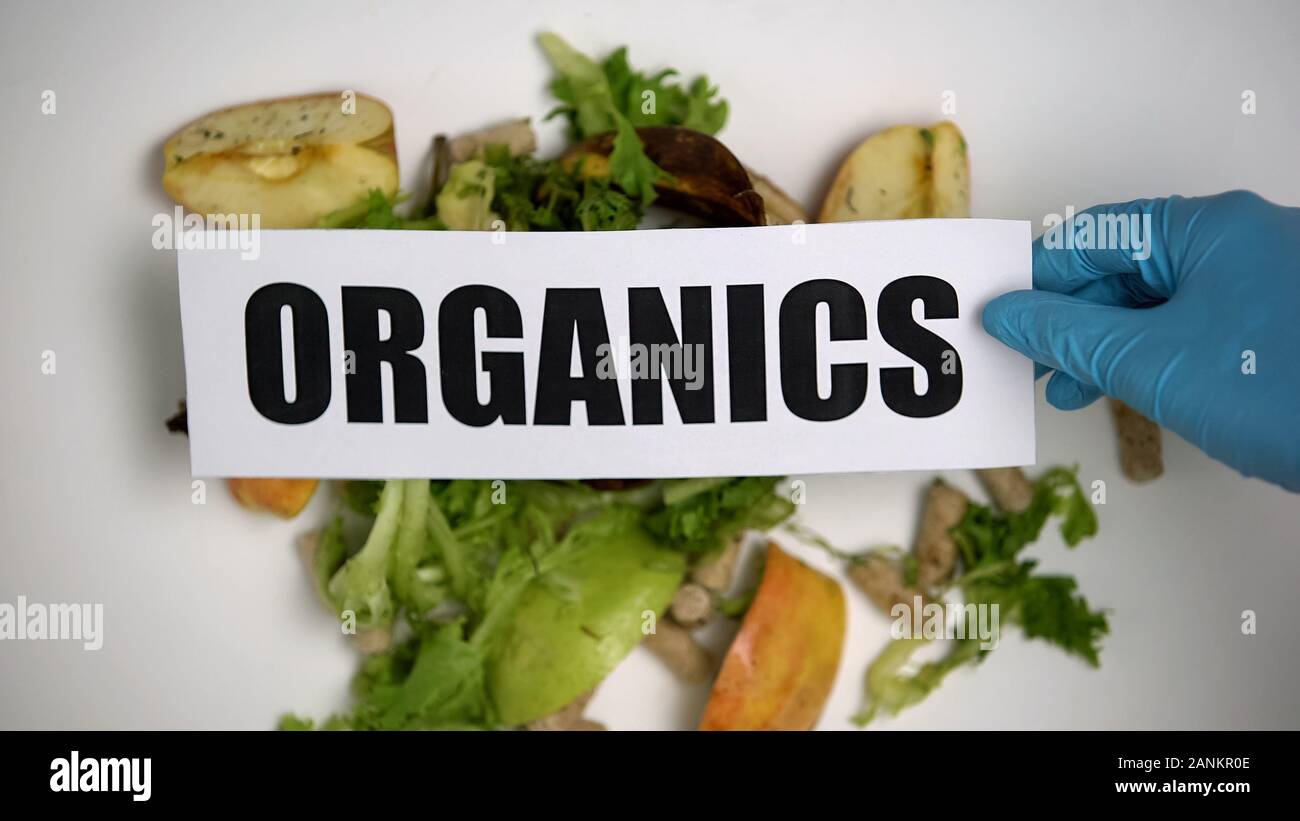 Organics word put on biodegradable waste lying on table, alternative ...