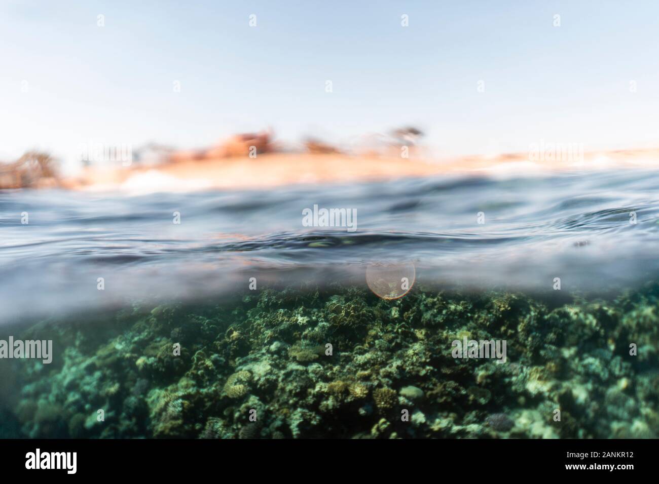 Half above water and half under water hi-res stock photography and ...