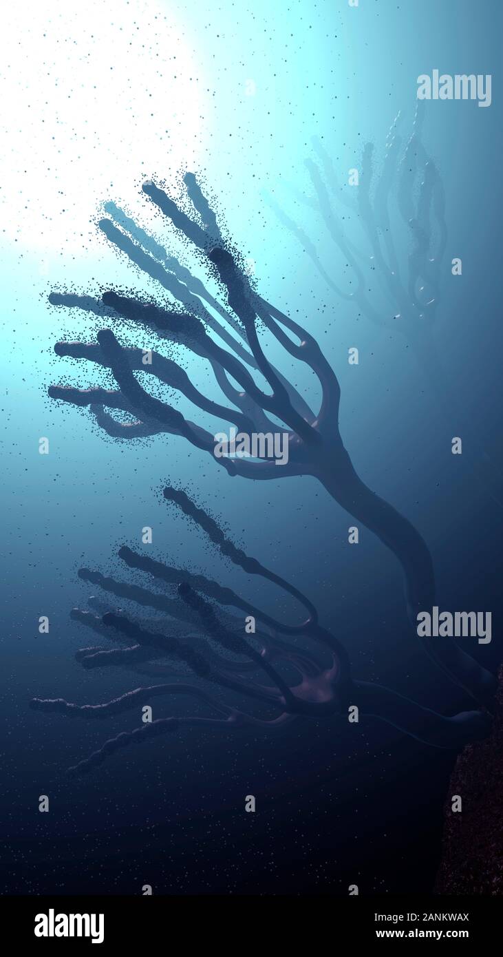 Fungus releasing spores, illustration Stock Photo - Alamy