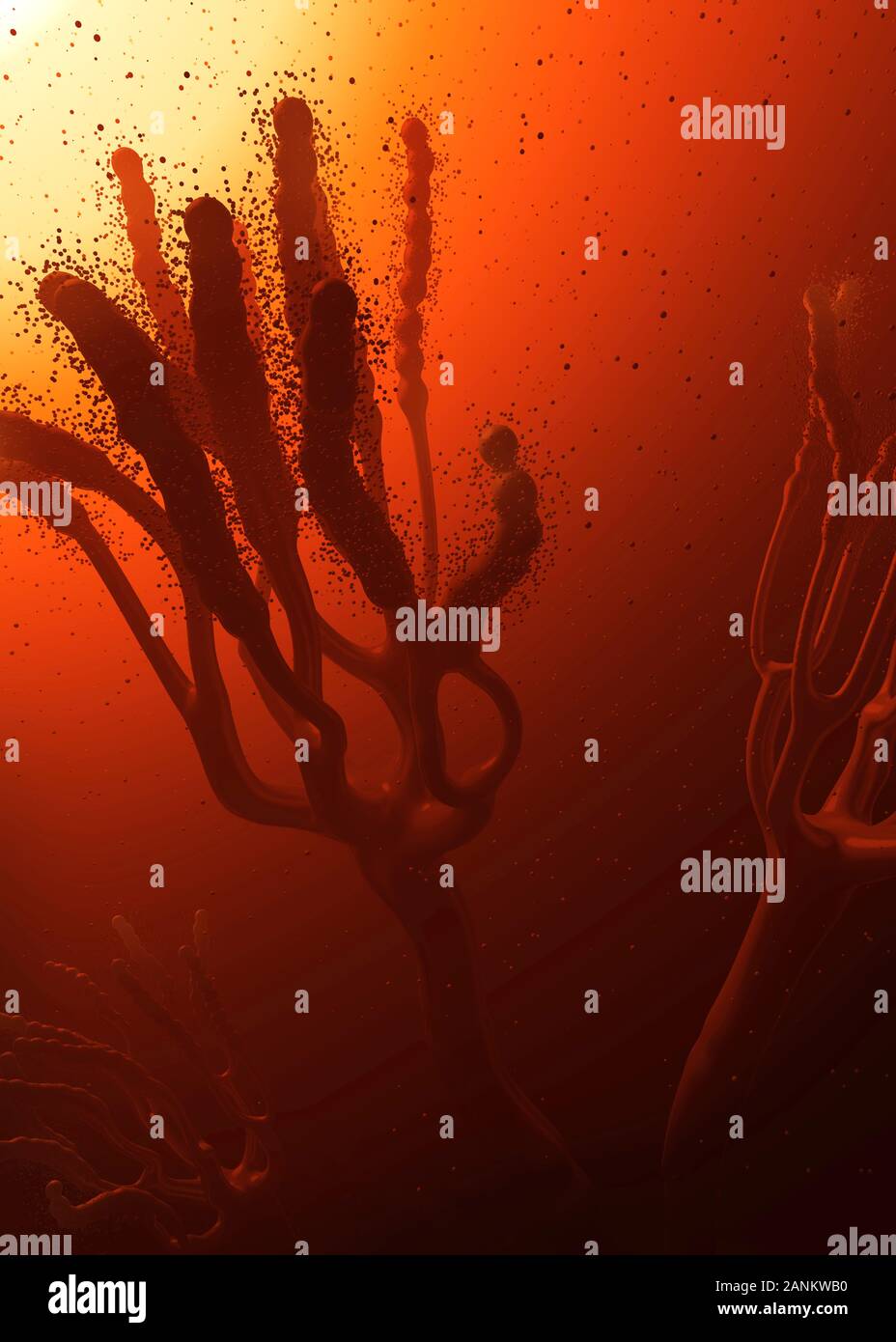 Fungus releasing spores, illustration Stock Photo - Alamy