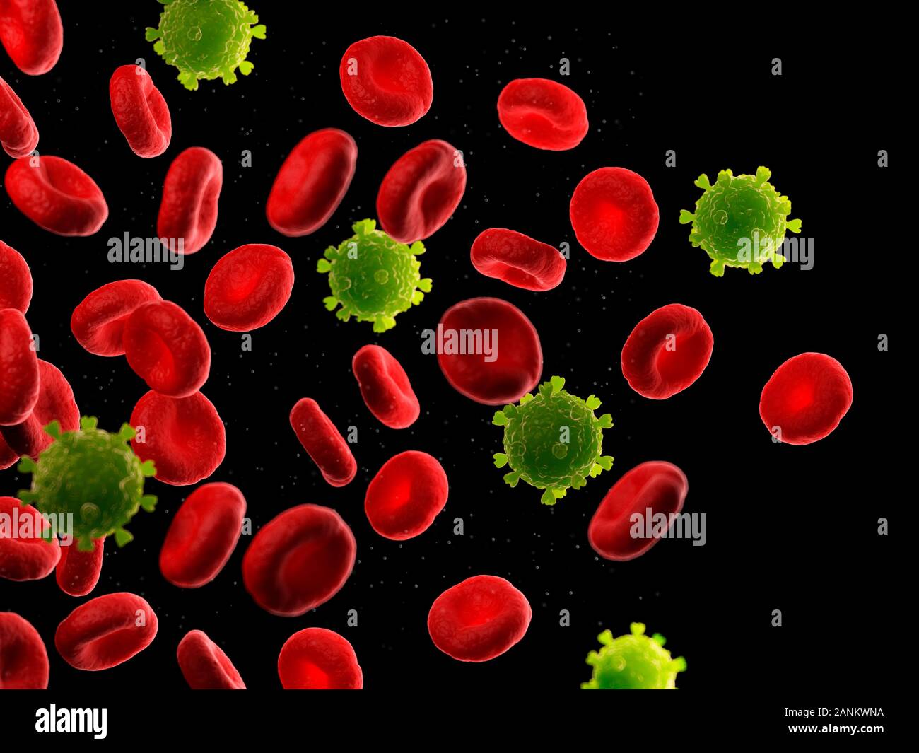 Red blood cells and viruses, illustration Stock Photo - Alamy