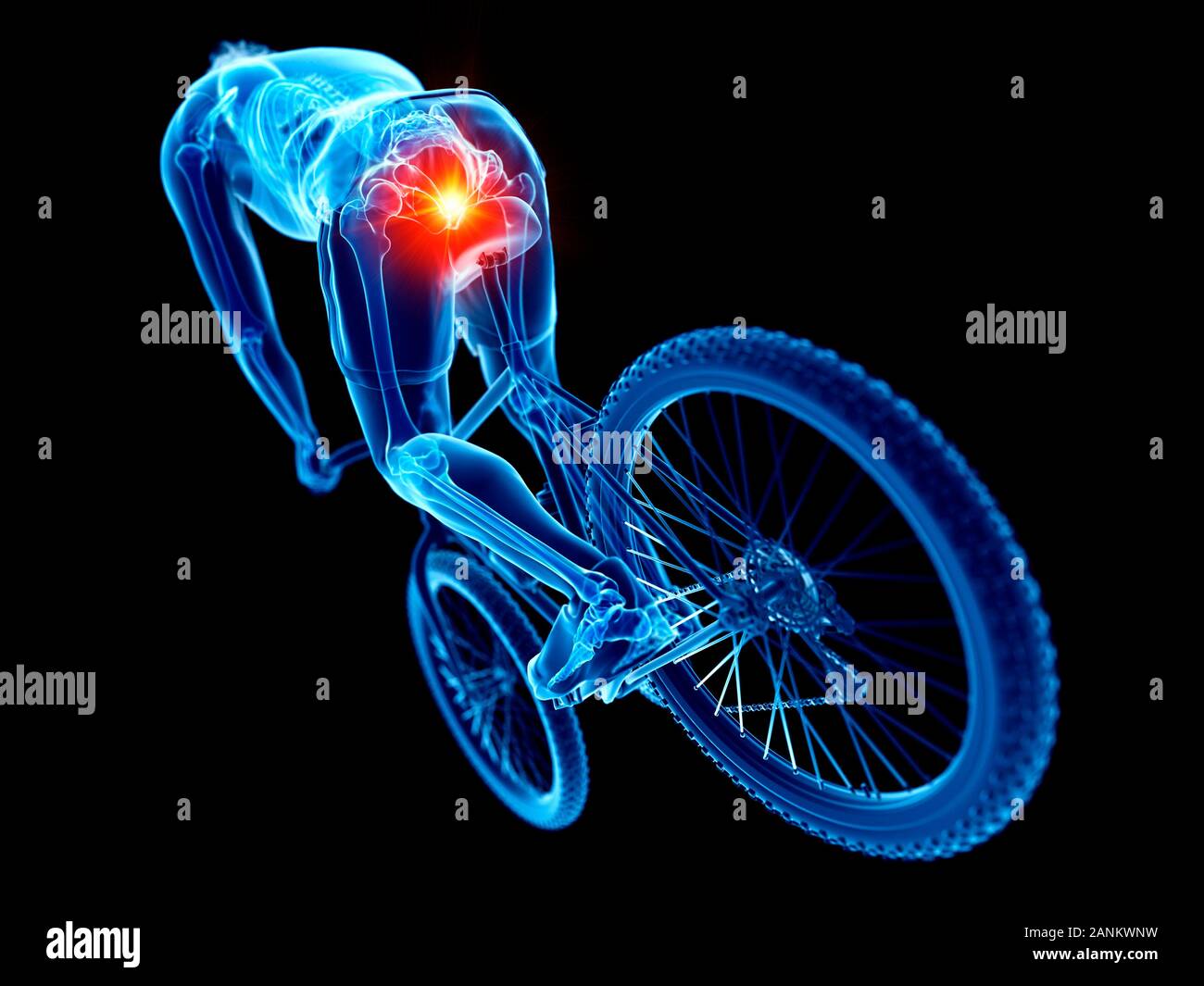 Skeleton riding bicycle hi-res stock photography and images - Alamy