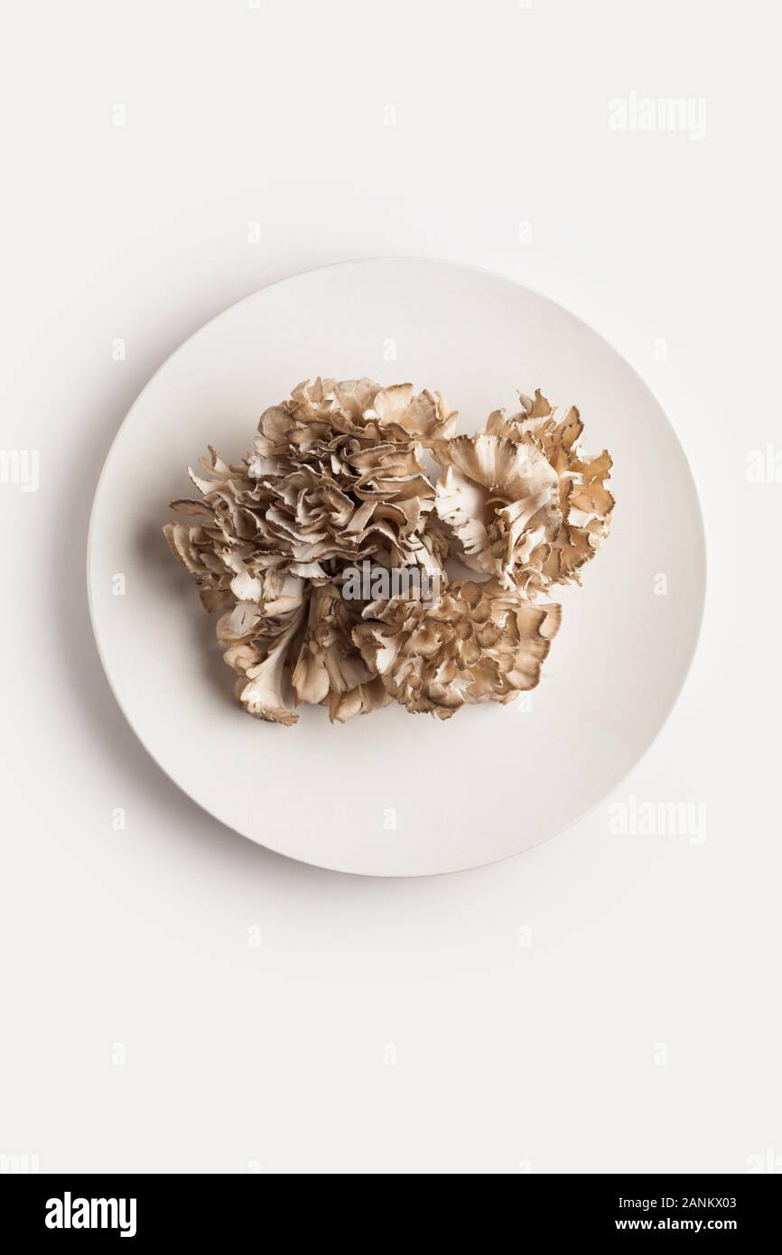 Hen Woods Grifola Frondosa Maitake High Resolution Stock Photography ...