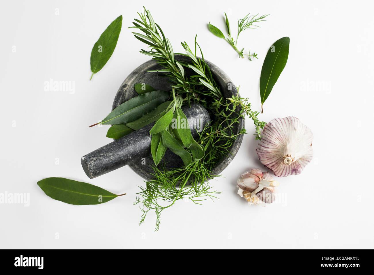 Mortar and pestle with garlic and herbs Stock Photo - Alamy