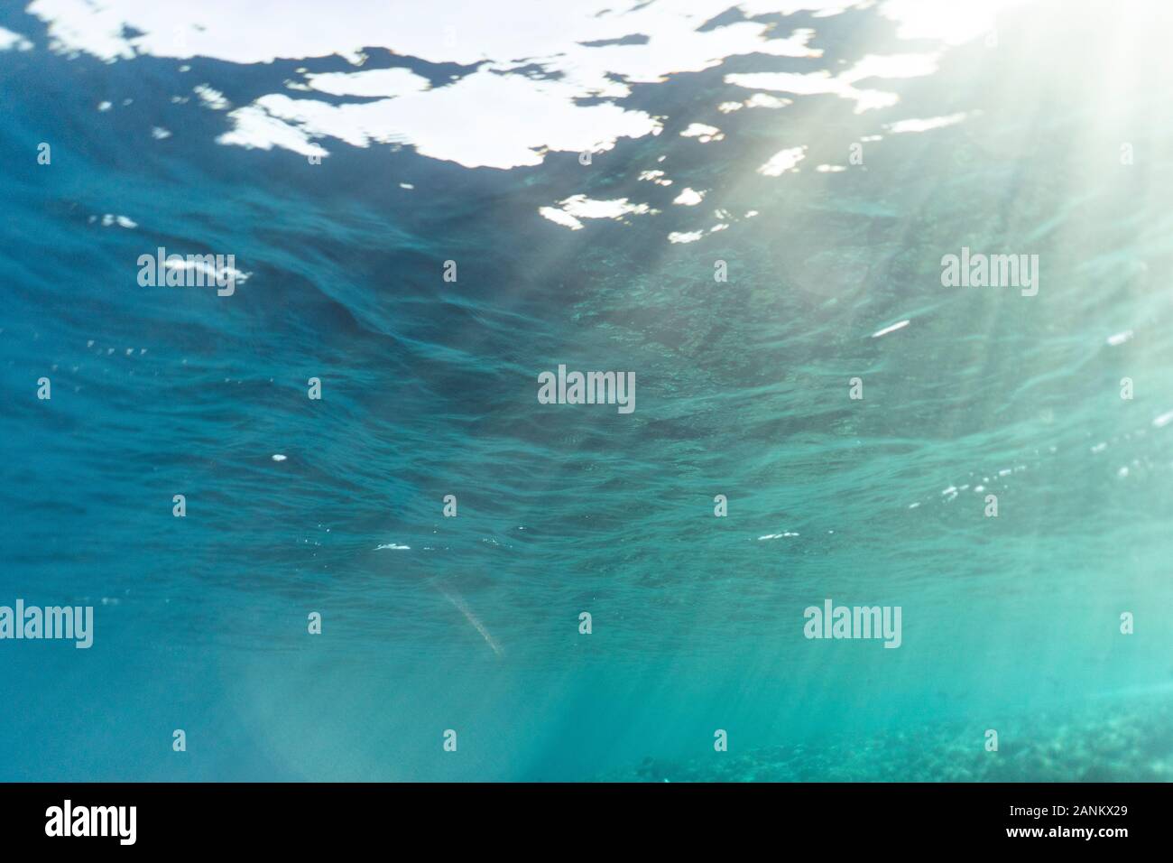 water surface from underneath, perfect ocean background, Water Texture ...