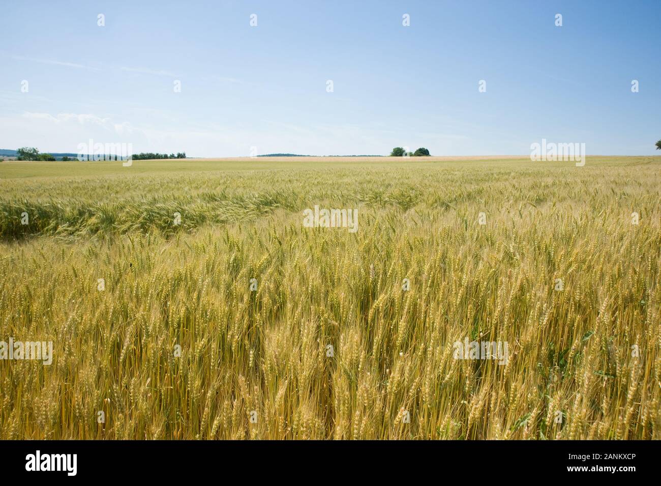 Ohne motiv hi-res stock photography and images - Alamy