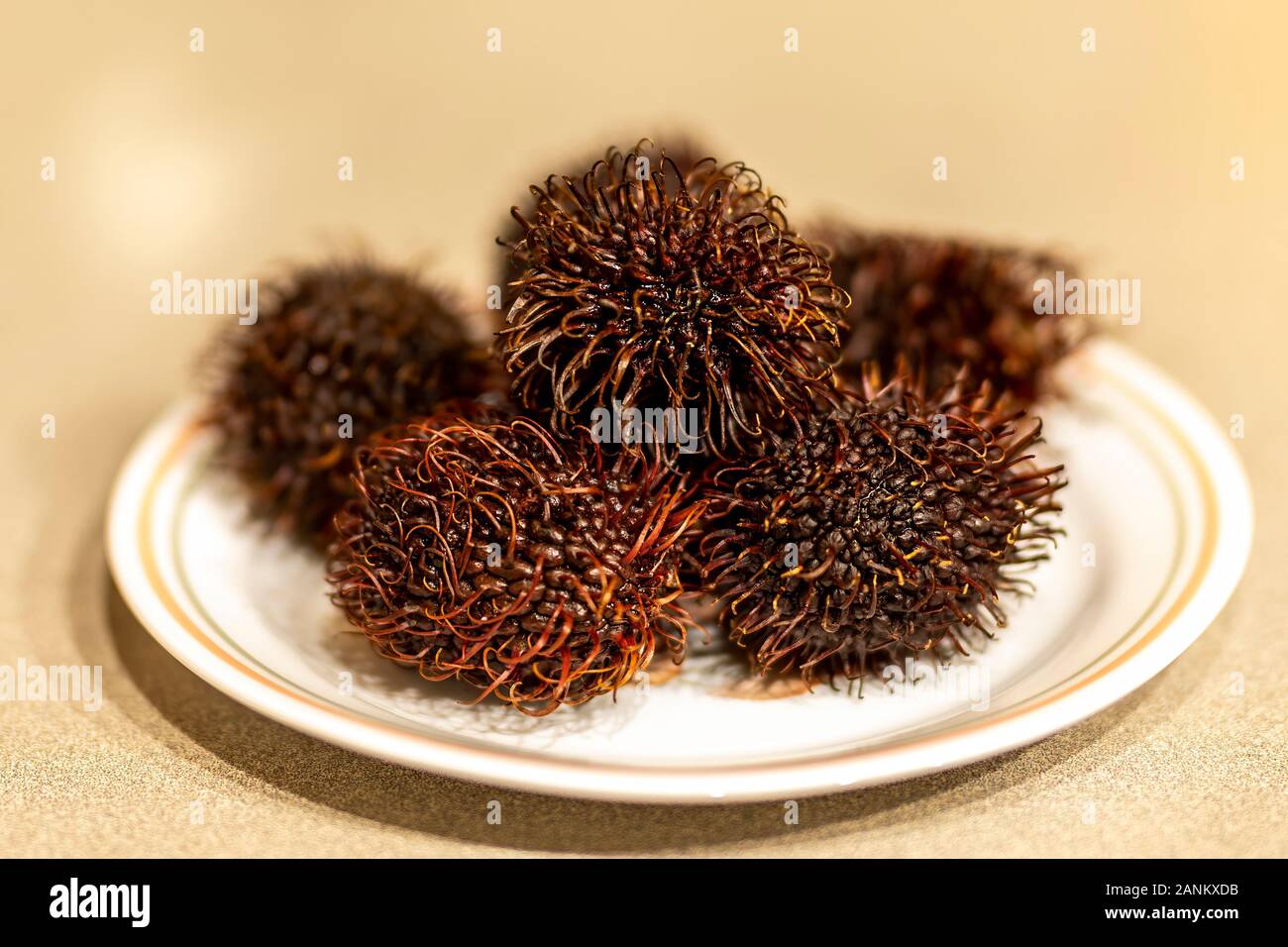 Rambutan tropical fruit.The rambutan is sweet and juicy fruit. Native ...