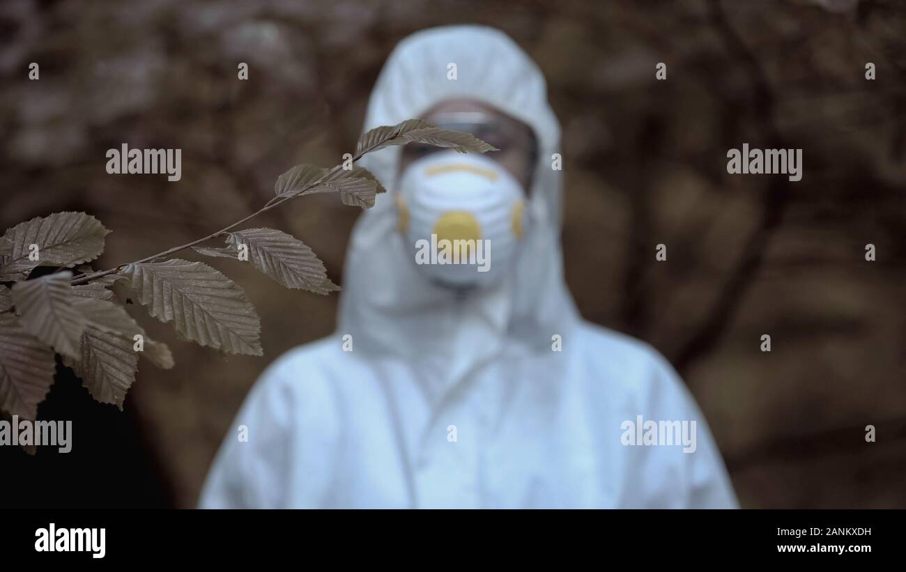 Red forest chernobyl hi-res stock photography and images - Alamy