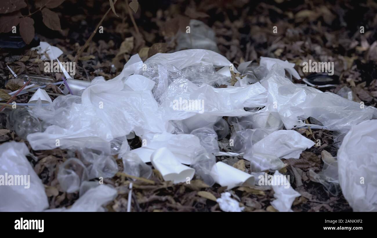 Plastic garbage landfill forest, nature preservation, overconsumption ...