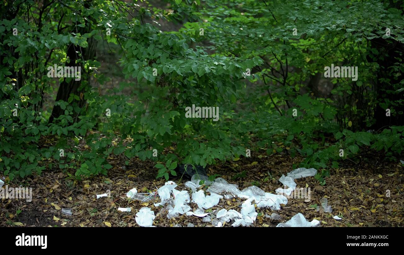 Plastic garbage lying on ground in forest, nature preservation ...