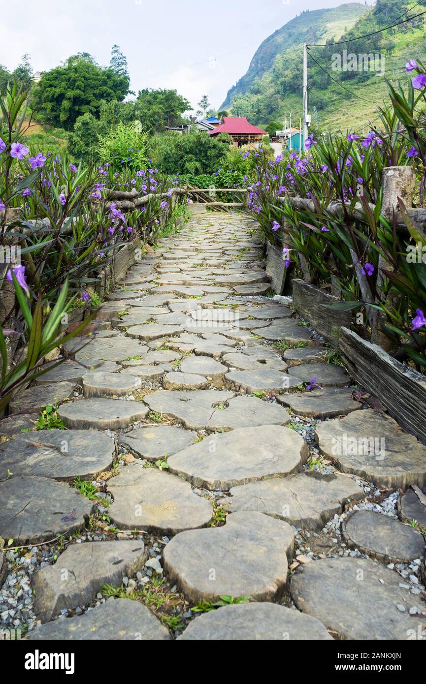 The path in the garden of wooden round logs. Wood texture. In the park ...