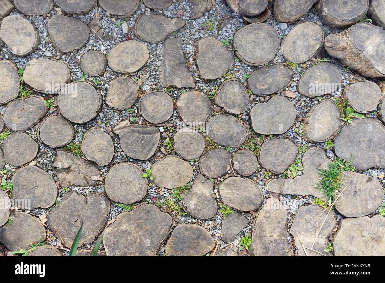 Paving texture round hi-res stock photography and images - Alamy