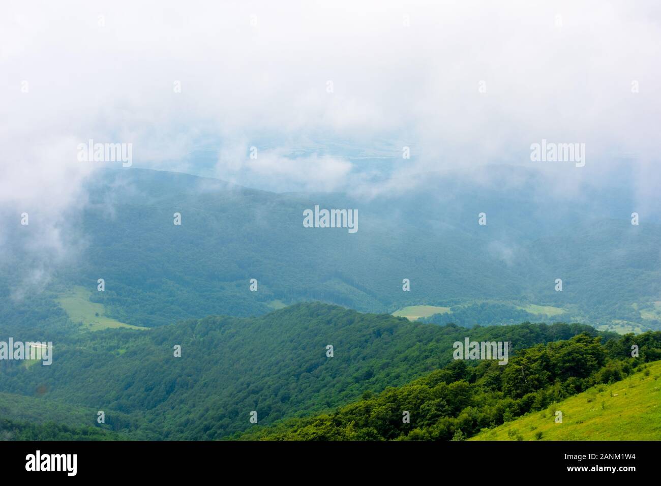 clouds rise above the forested forest. high volume humidity weather ...