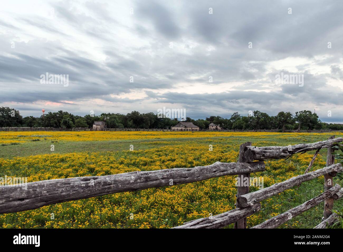 Lady bird johnson lbj ranch hi-res stock photography and images - Alamy