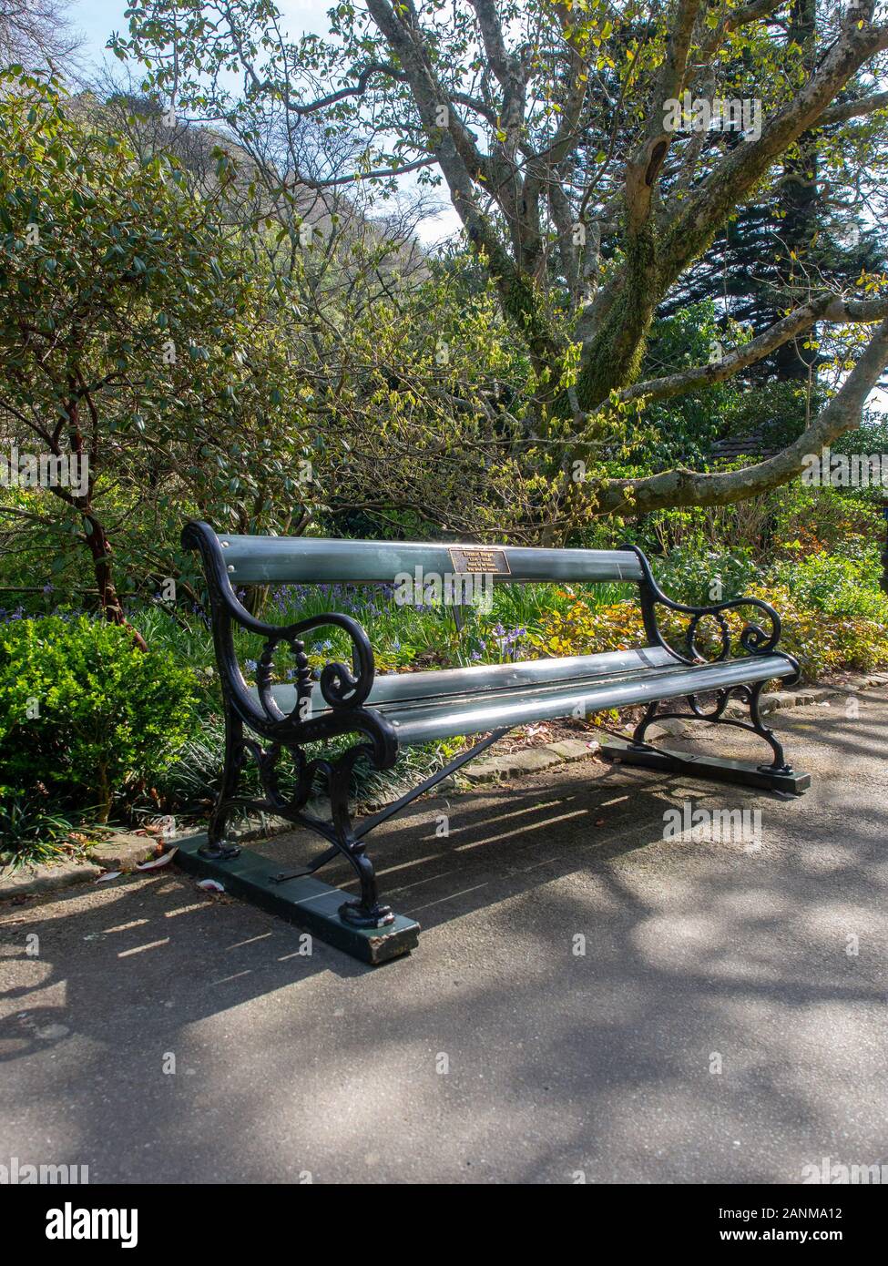 Green Park Bench Seat In The Wellington Botanic Gardens Stock Photo - Alamy