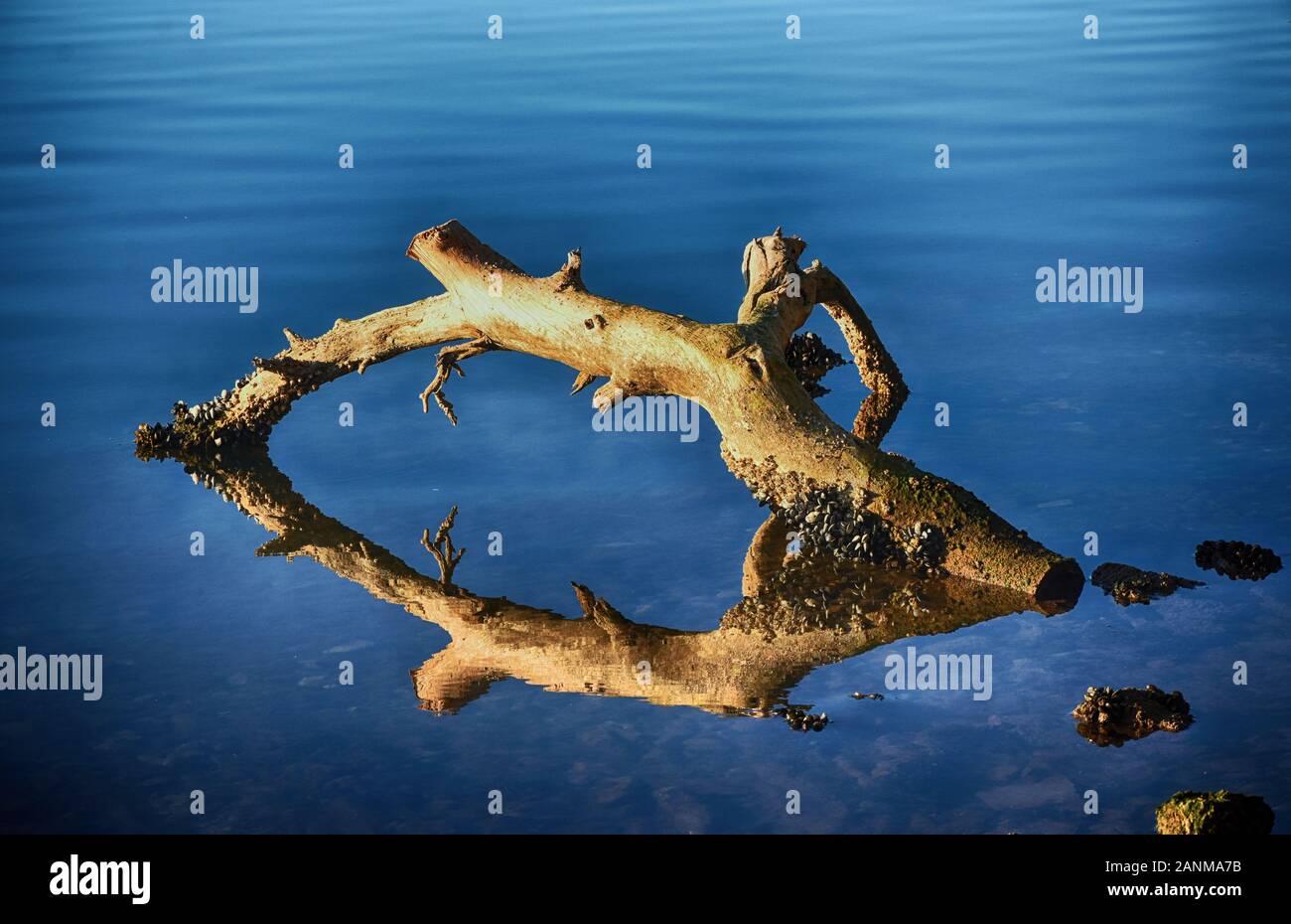 St anthonys channel High Resolution Stock Photography and Images - Alamy