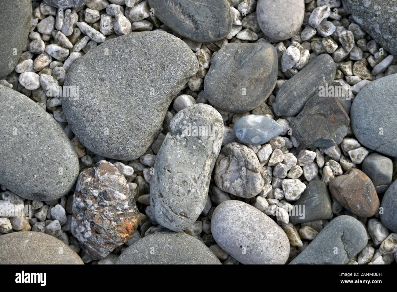 A stone horizontal background of sea pebbles and light rubble Stock ...