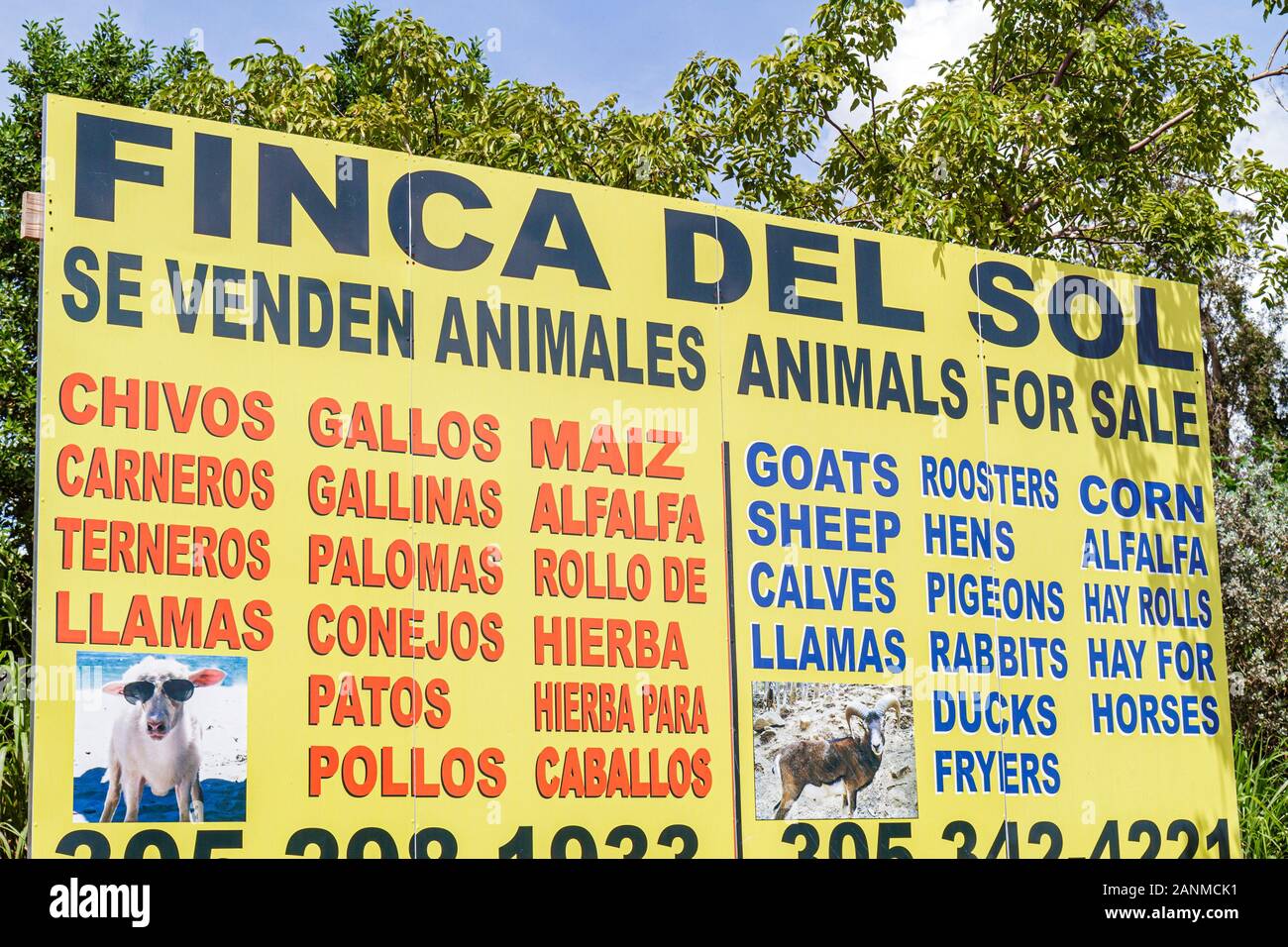 Billboard In Spanish High Resolution Stock Photography and Images - Alamy