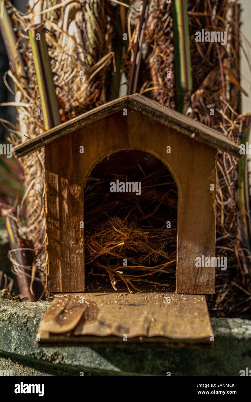 The home of the bird under the tree Stock Photo - Alamy