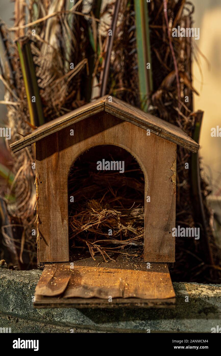 The home of the bird under the tree Stock Photo - Alamy