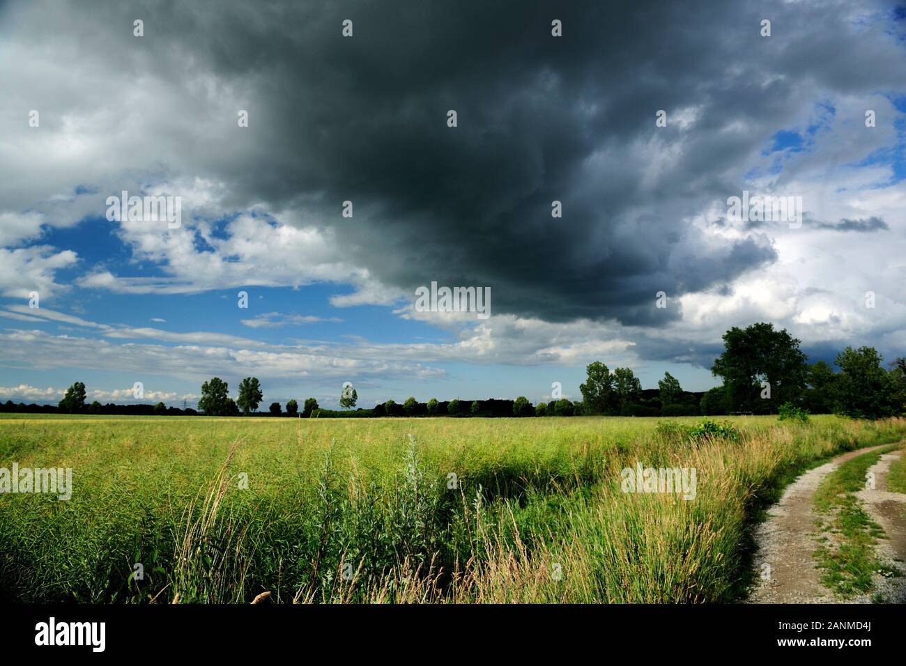 garden, gardening, grass, grow, herb, herbage, herbal, land, landscape ...