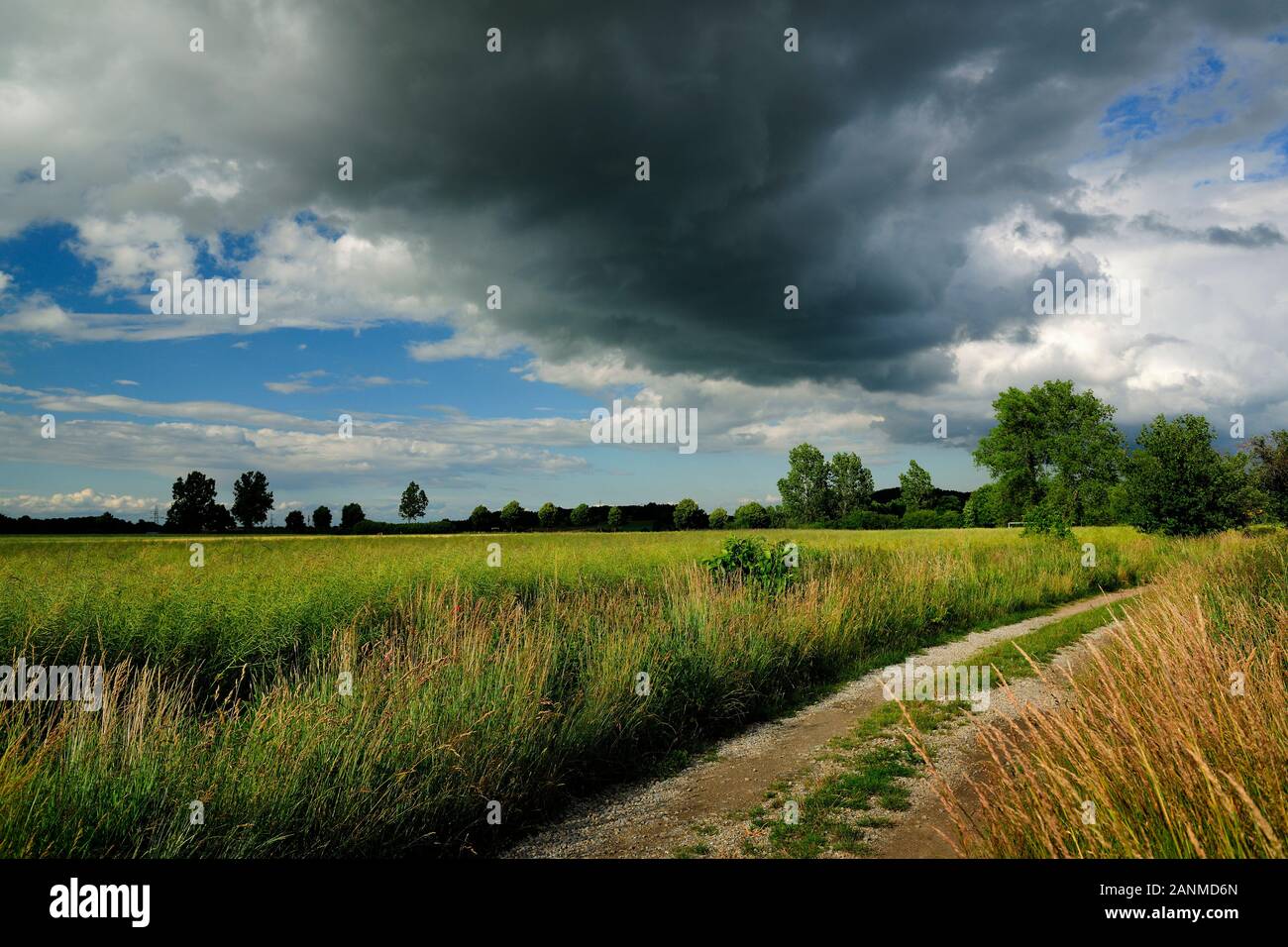 garden, gardening, grass, grow, herb, herbage, herbal, land, landscape ...