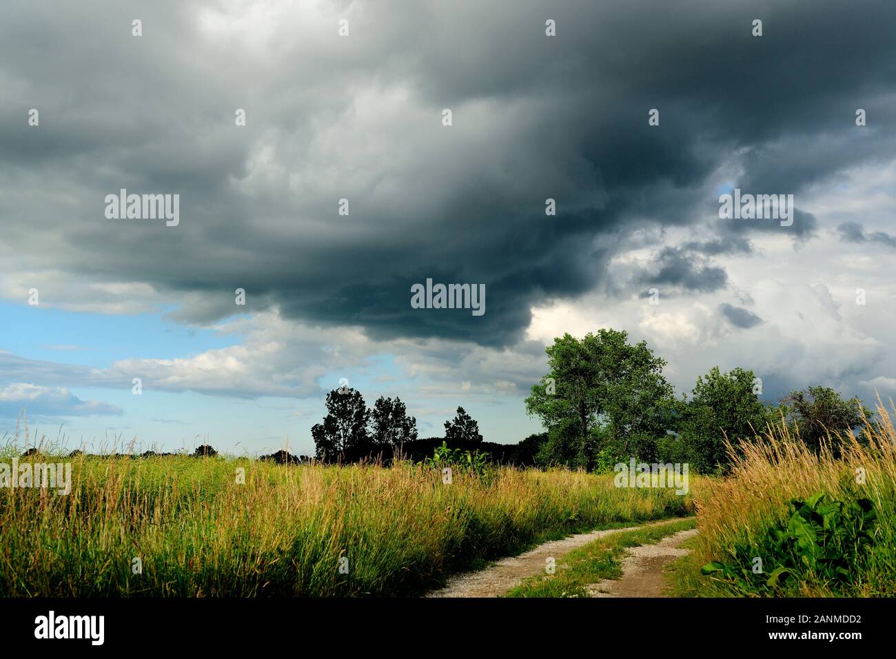 garden, gardening, grass, grow, herb, herbage, herbal, land, landscape ...