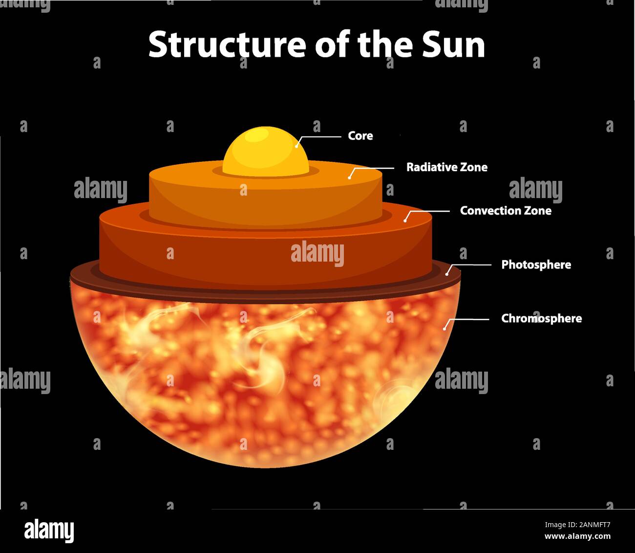 Diagram showing structure of the Sun illustration Stock Vector Image ...