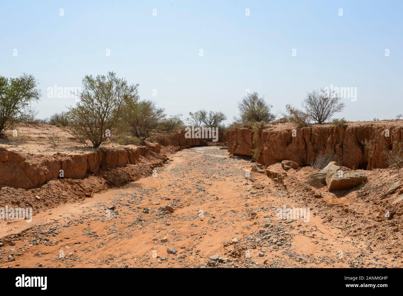 Severe erosion of a dried creek in the Outback, South Australia ...