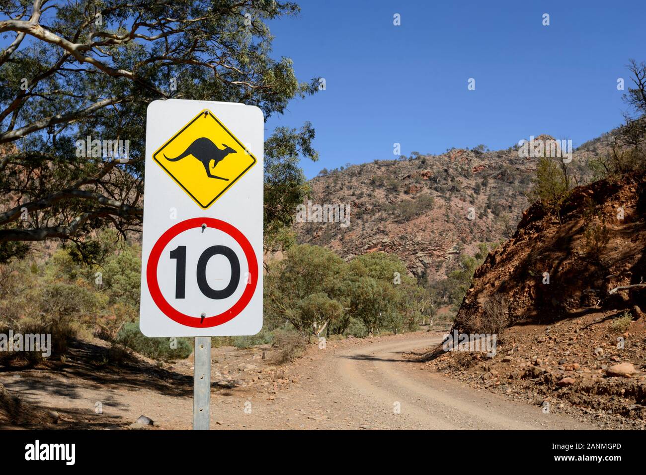 Speed limit road sign warning of kangaroos in Brachina Gorge, Ikara ...