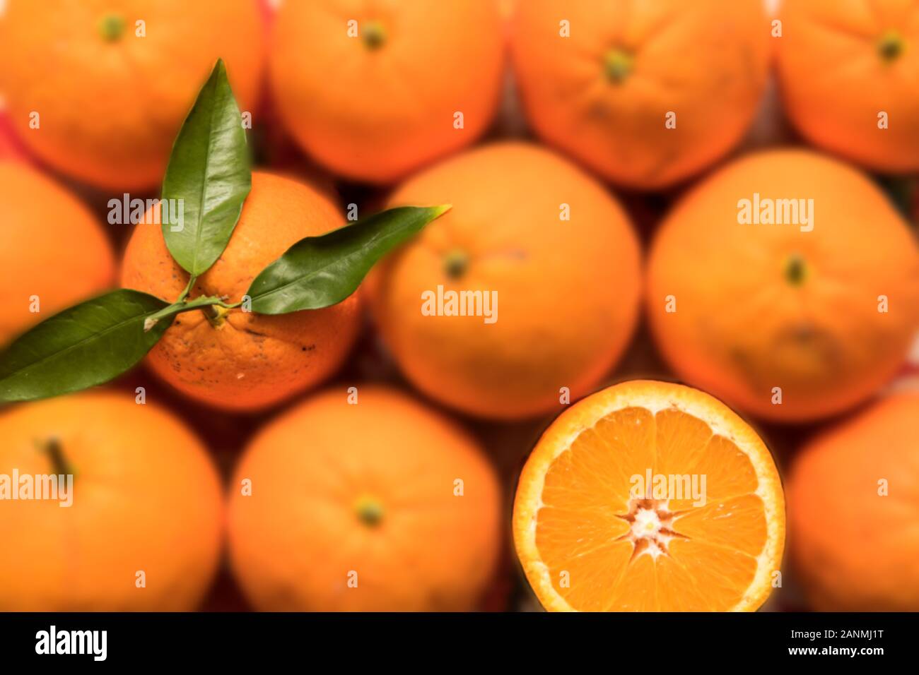Orange fruit in bulk. Healthy citrus food picked in California. Set as ...