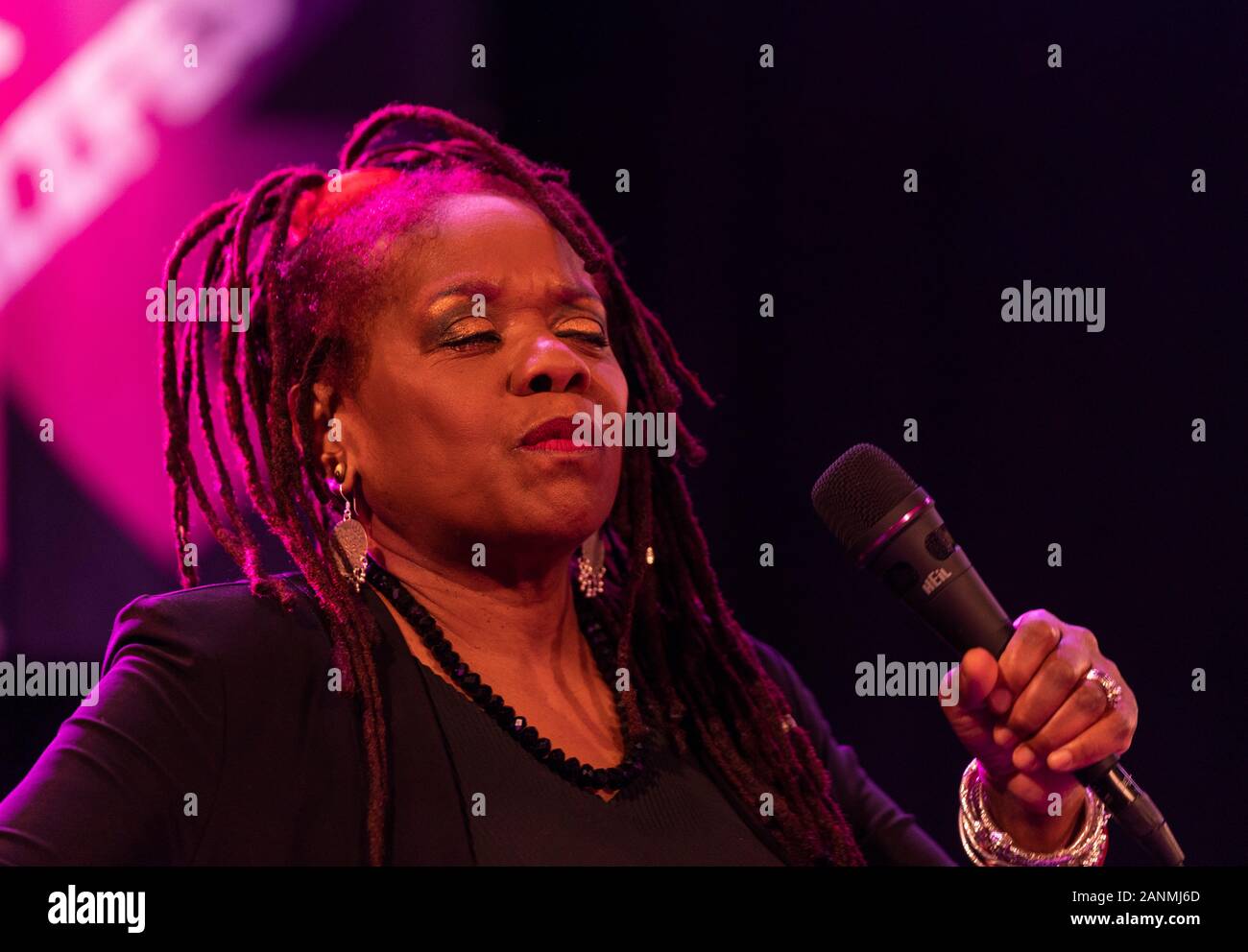 Matt bernstein hi-res stock photography and images - Alamy