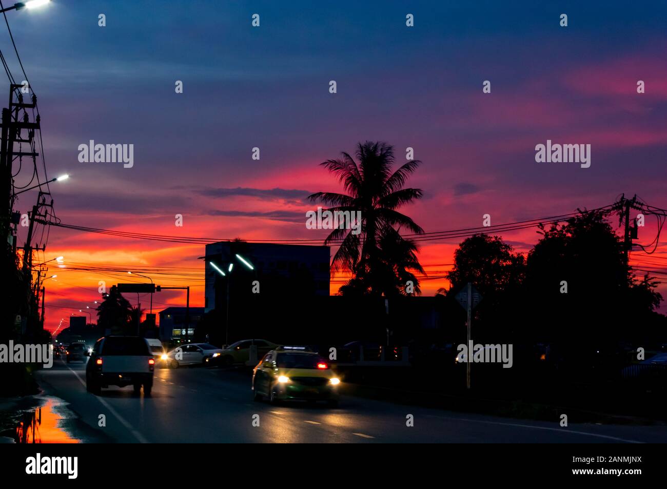 Highway coconut tree hi-res stock photography and images - Alamy