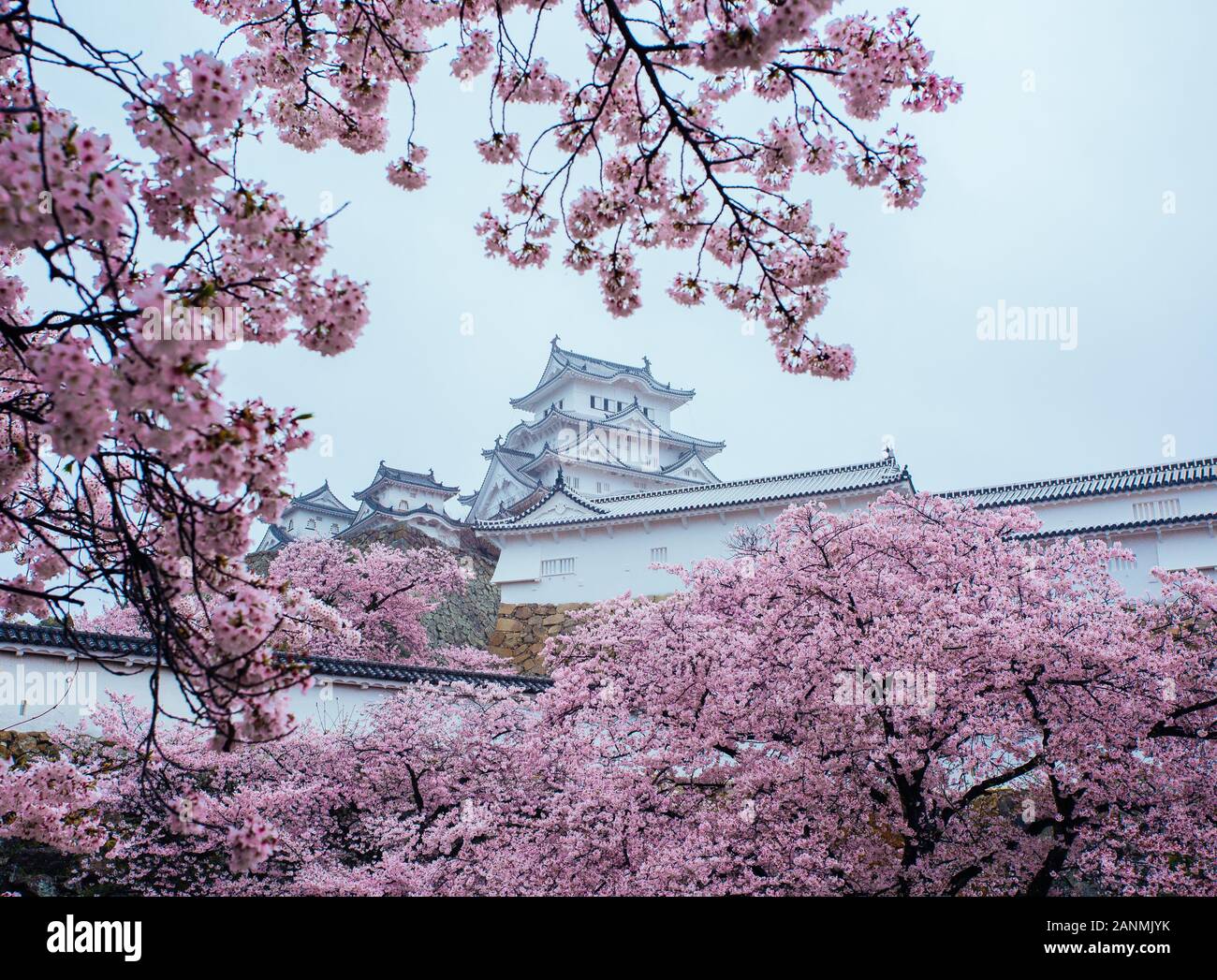 Himeiji castle hi-res stock photography and images - Alamy