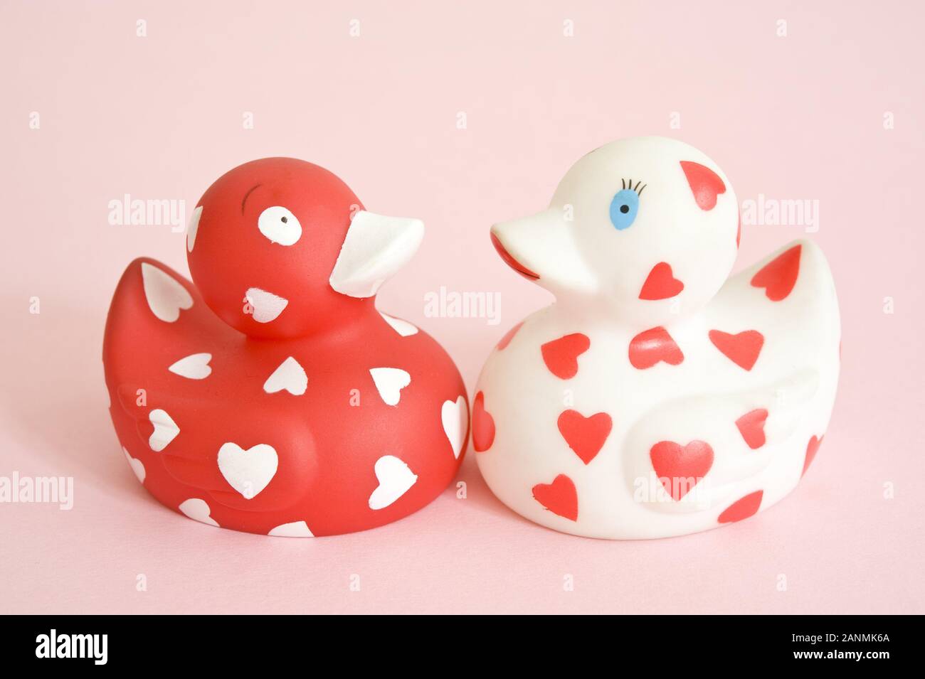 Verliebte Badeenten - Loving Rubber Ducks Stock Photo - Alamy