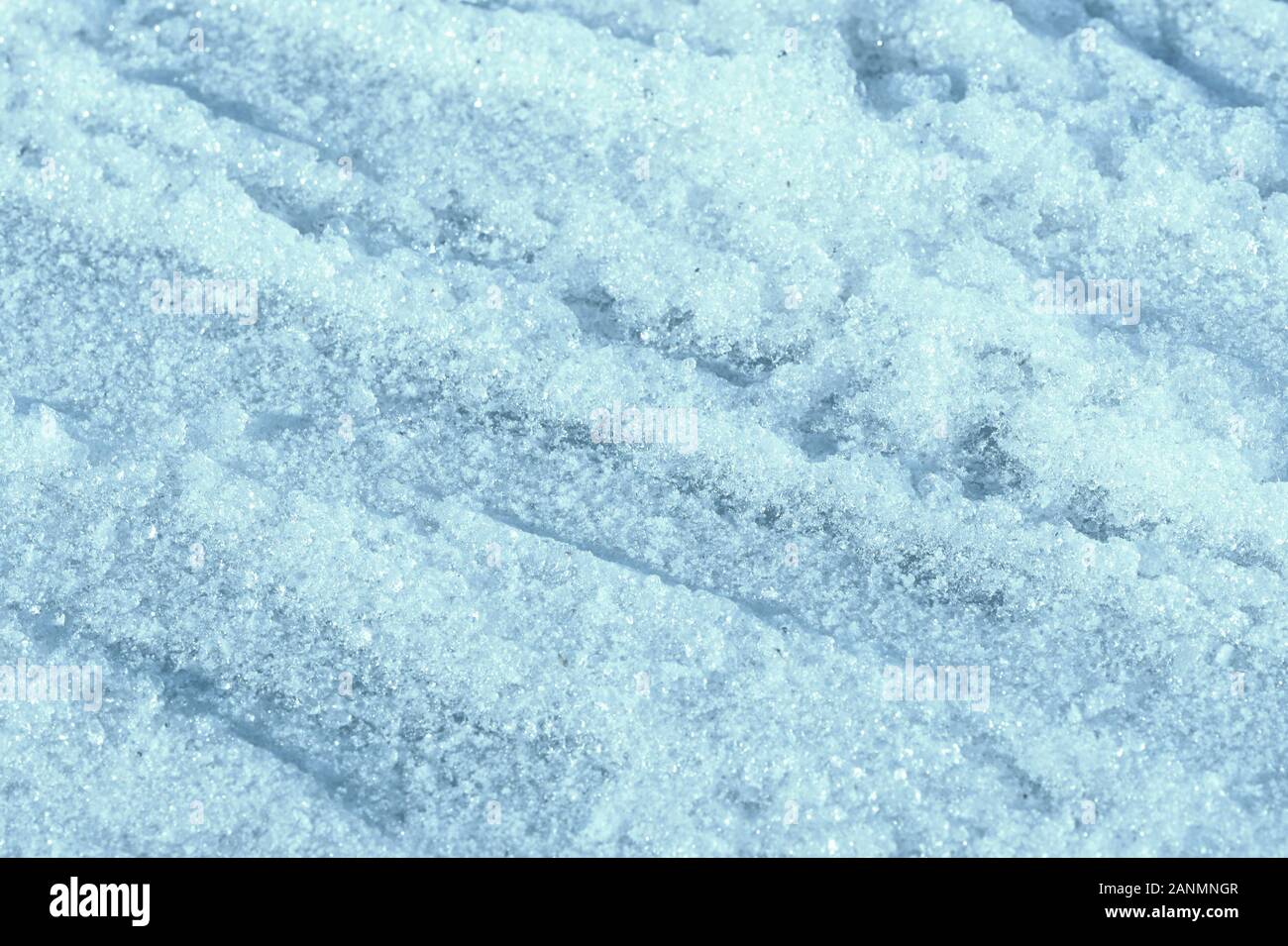 Wet spring snow texture close up. Natural abstract background blue ...