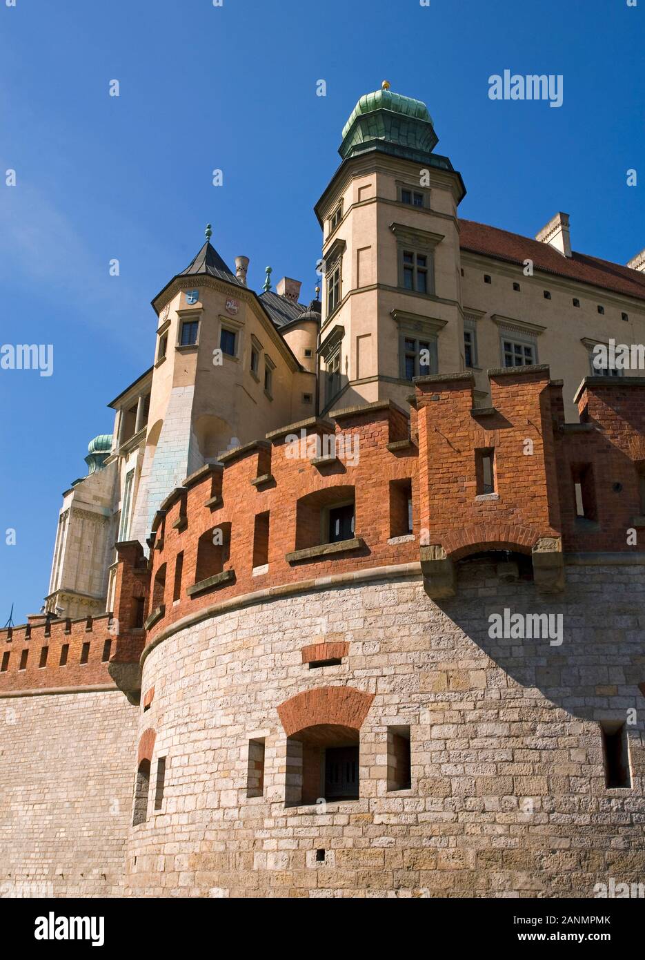 Chicken wing claw hi-res stock photography and images - Alamy