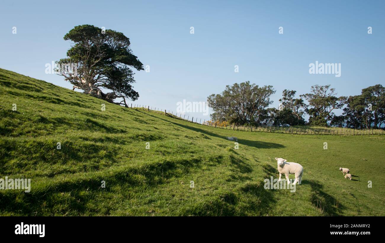 Farming agriculture springtime hi-res stock photography and images - Alamy
